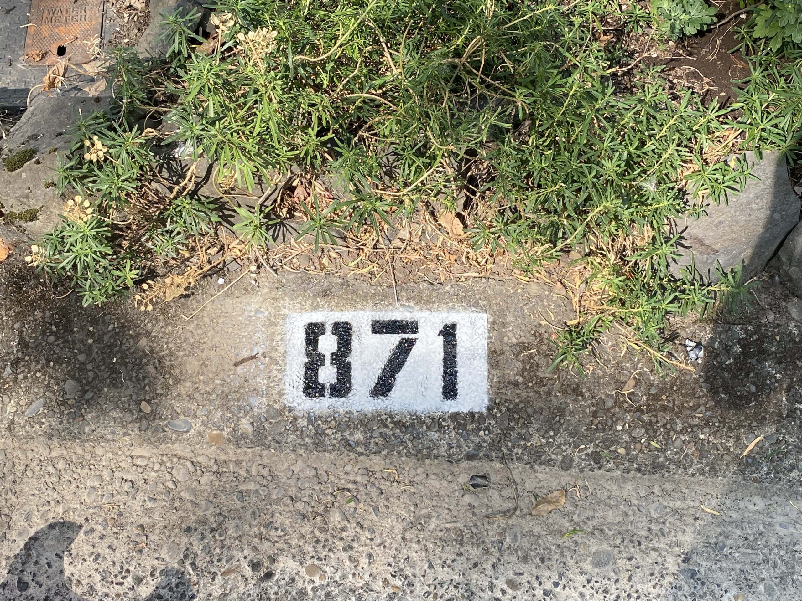 Curb'n IT- World's Leading Curb Painting Corporation